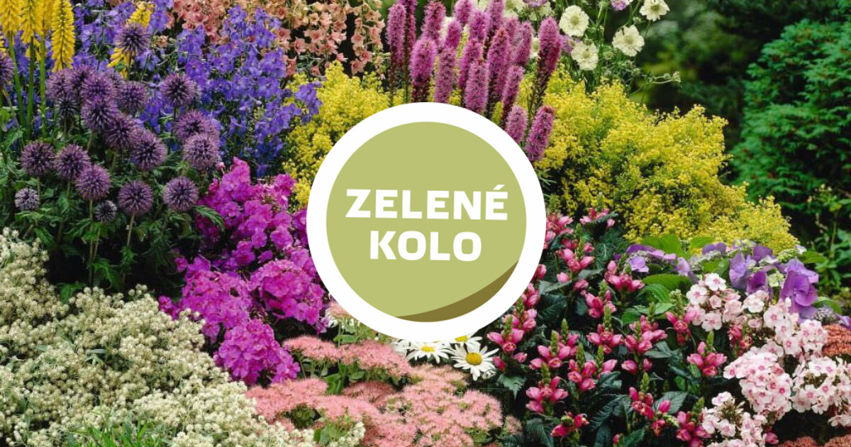 Seznamte se s naším novým partnerem – společností ZELENÉ KOLO | Goopan ...